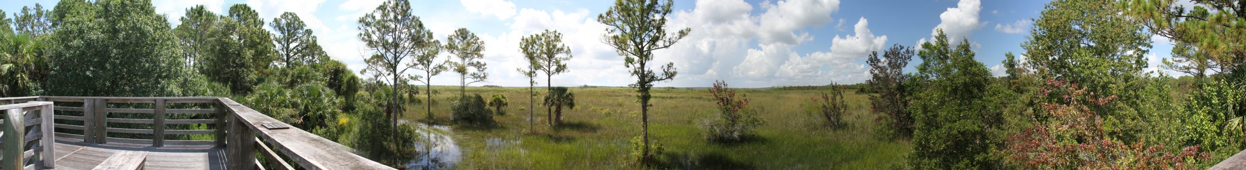 CREW Marsh Trails » CREW Land & Water Trust